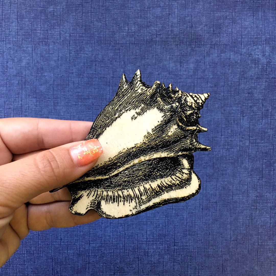 Seashell Magnet, Ocean Magnet, Ocean Lover Gift, Antique Shell ...
