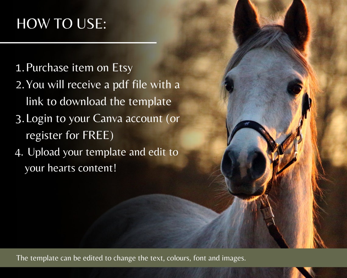 Equestrian Business Card Design, Horse Business Card, Equine Business ...