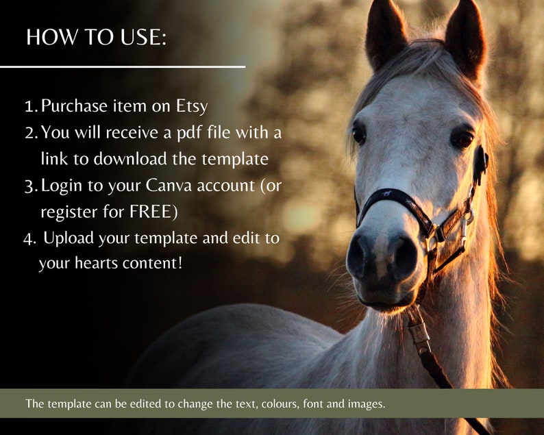 Equestrian Business Card Design, Horse Business Card, Equine Business ...
