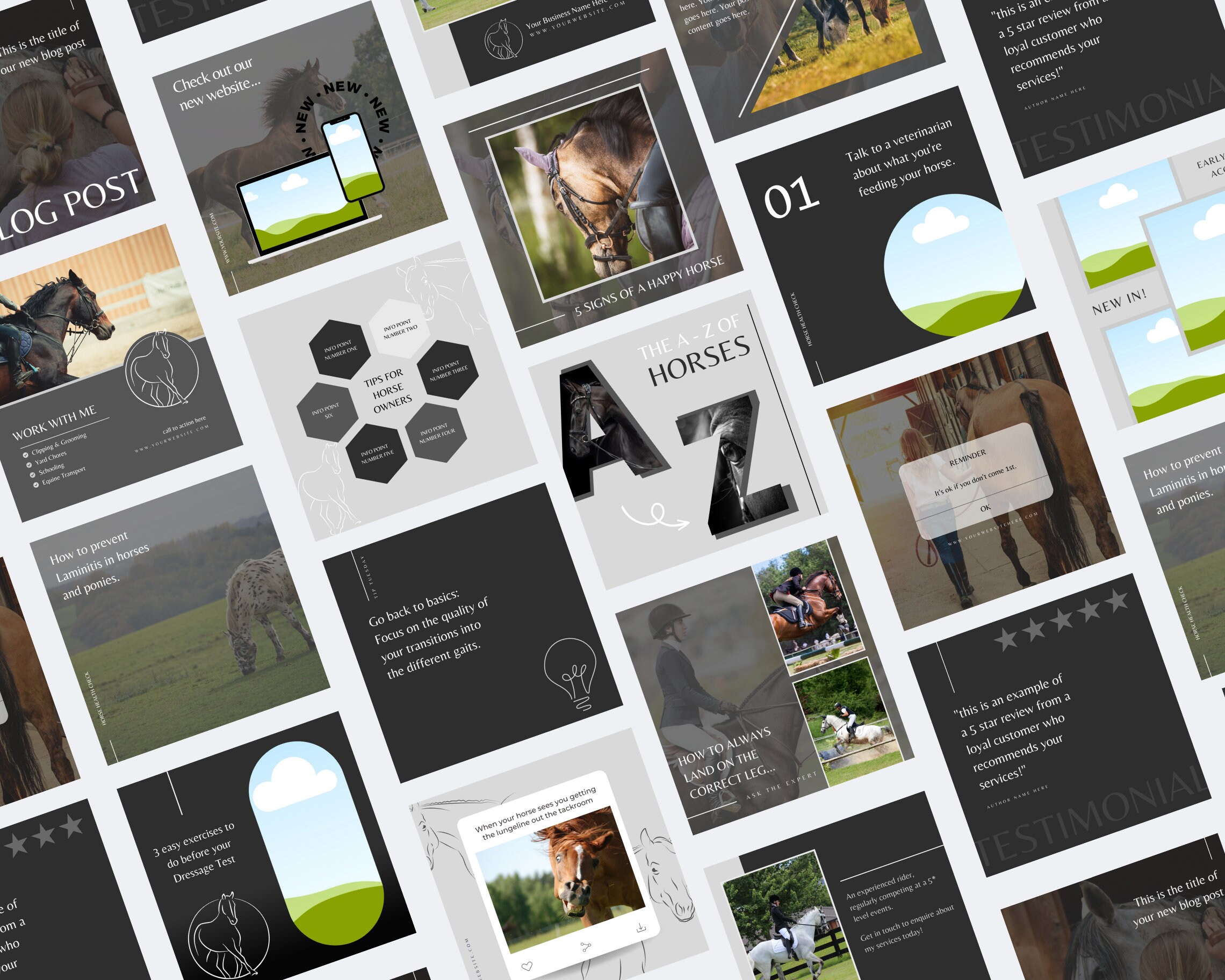 Equestrian Social Media Post Templates | 20 Horse Themed Designs ...