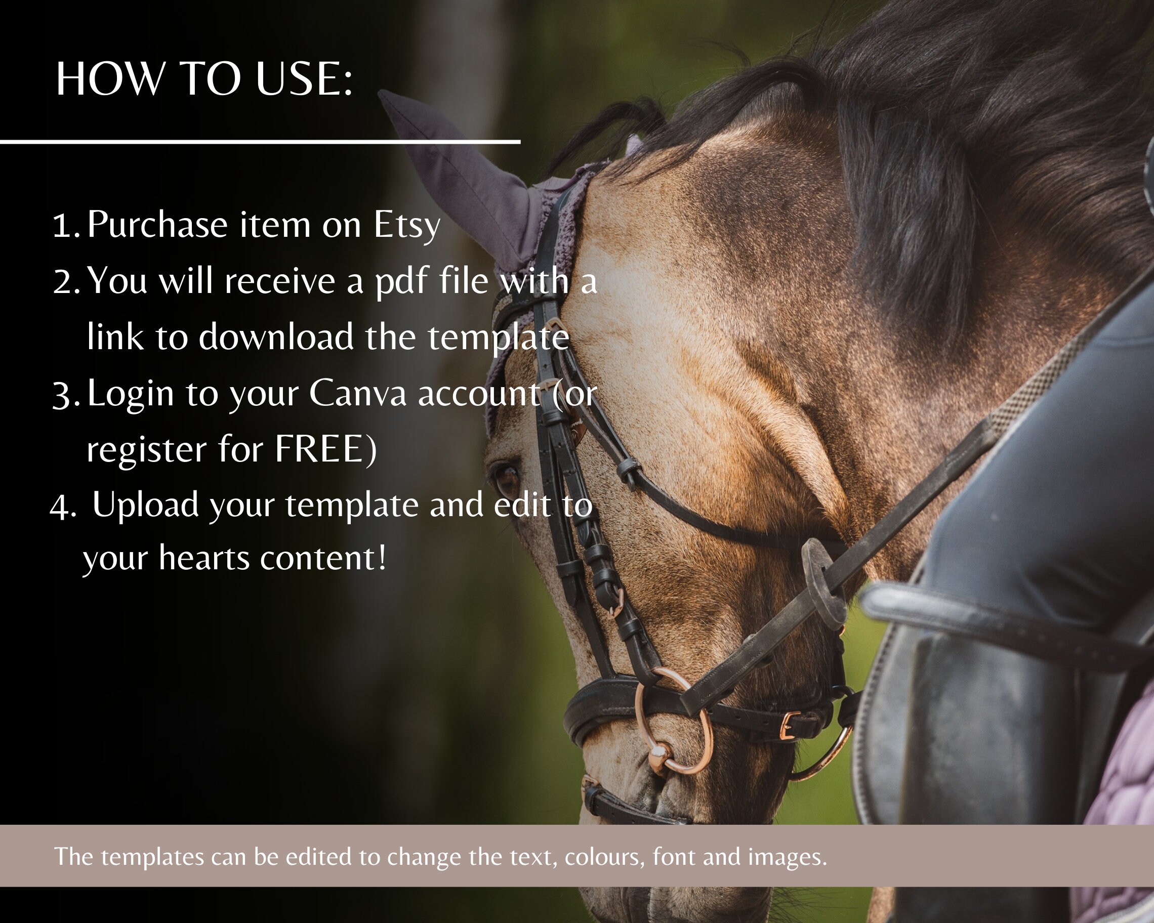 Equestrian Social Media Post Templates | 20 Horse Themed Designs ...