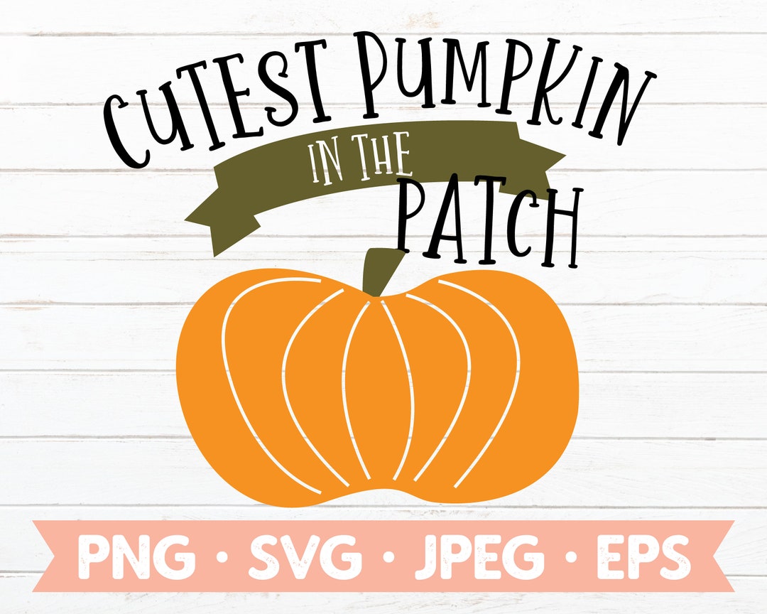 Cutest Pumpkin in the Patch SVG Cutting File, Fall SVG Harvest, Pumpkin ...