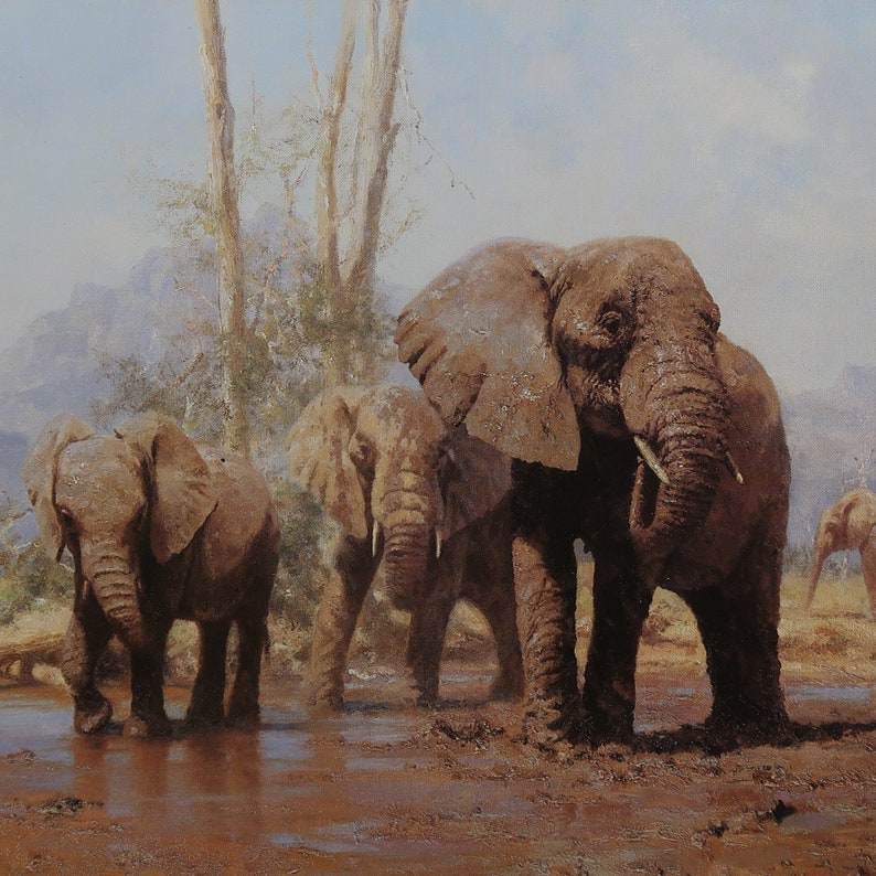 David Shepherd Vintage Print 1989 | "elephant's Playtime" (1984) | Home ...