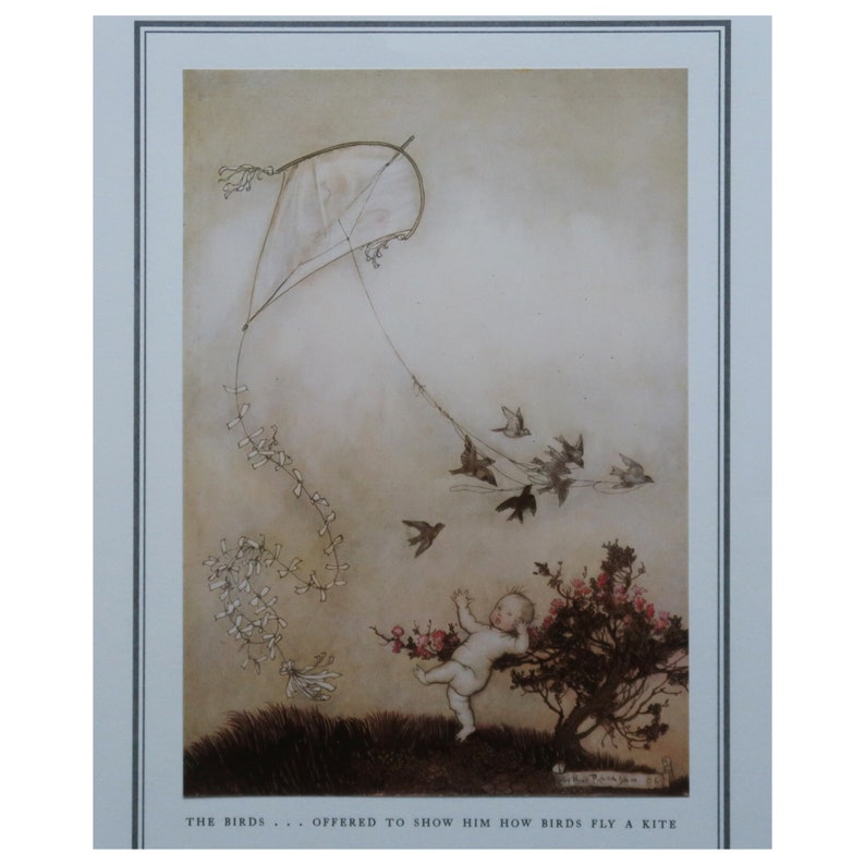Arthur Rackham Vintage Print 2004 | "the Birds..." (1906) | Home Decor ...