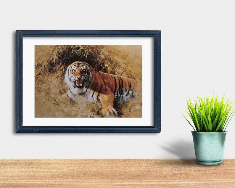 David Shepherd Vintage Print 1989 tiger Fire 1973 Home Decor Bengal ...
