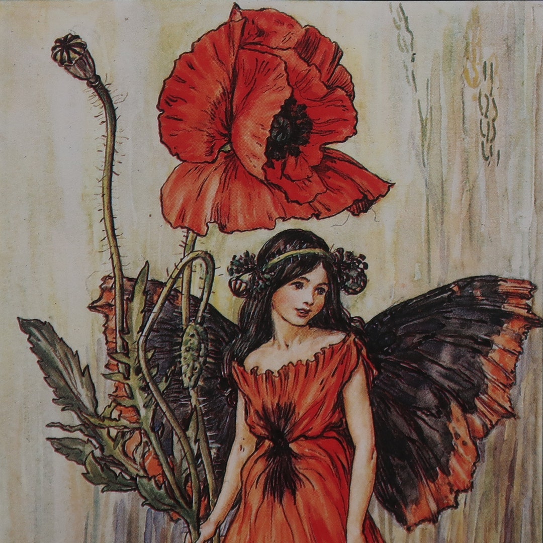Small Cicely Mary Barker Vintage Print 1997 poppy Fairy Home Decor Wall ...