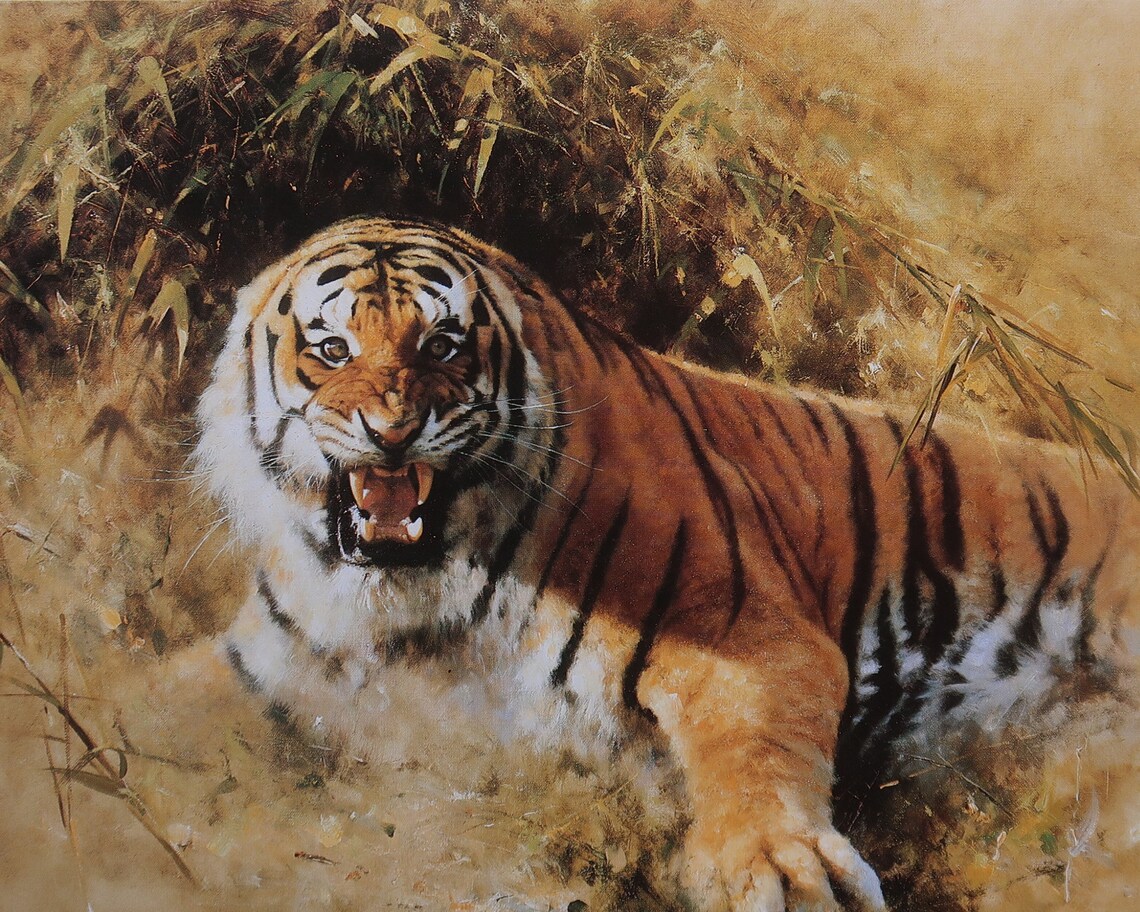 David Shepherd Vintage Print 1989 tiger Fire 1973 Home Decor Bengal ...