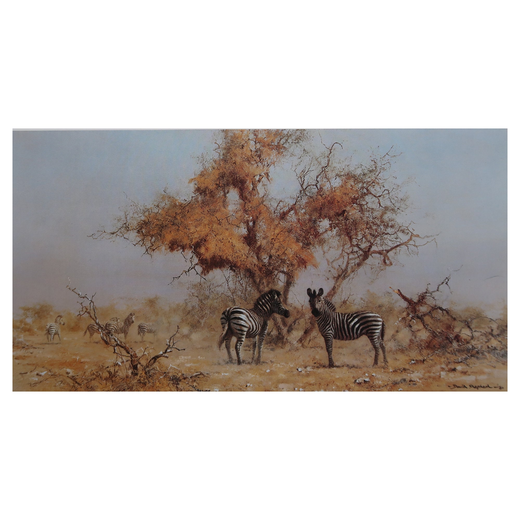 David Shepherd Vintage Print 1989 zebras and Colony Weavers 1980 Home ...
