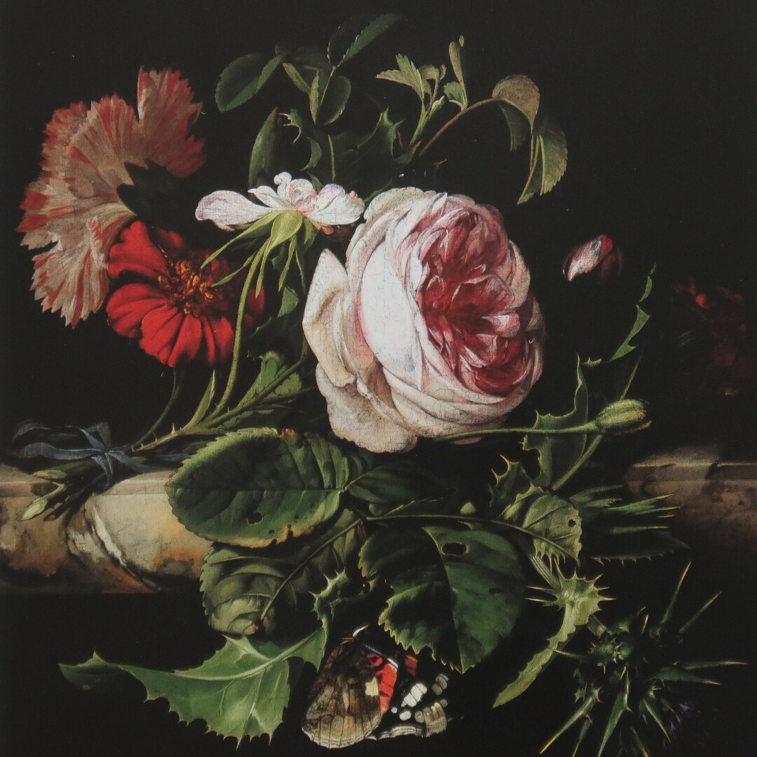 Willem Van Aelst Vintage Print 2000 a Sprig of Damask Roses... 1676 ...