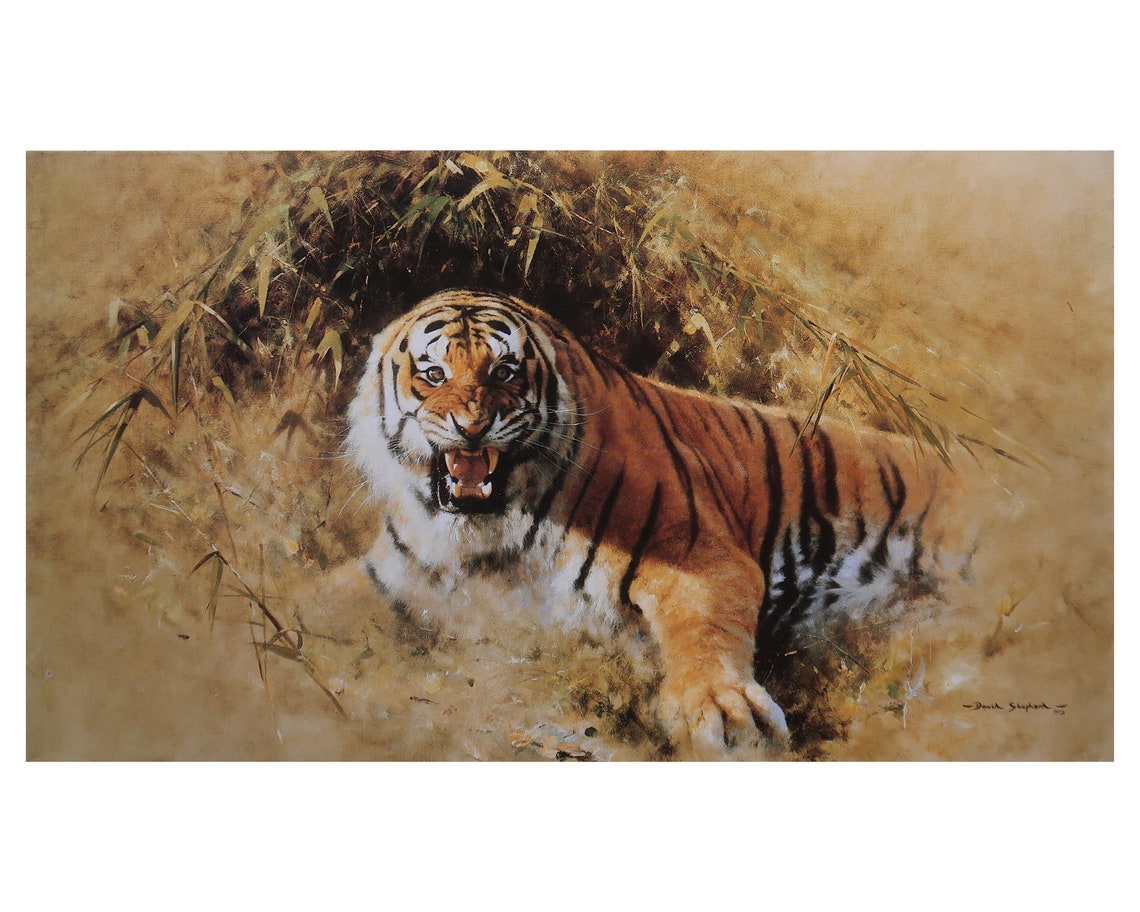 David Shepherd Vintage Print 1989 tiger Fire 1973 Home Decor Bengal ...