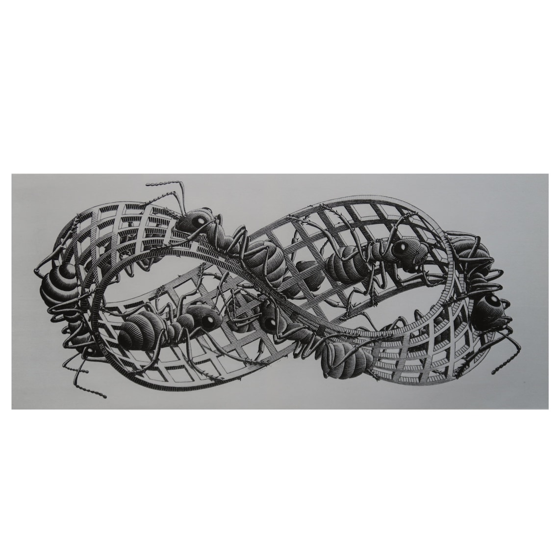 MC Escher Vintage Print 1971 moebius Strip Ll 1963 Home Decor Wall Art ...