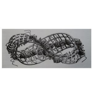 MC Escher Vintage Print 1971 | "moebius Strip Ll" (1963) | Home Decor ...