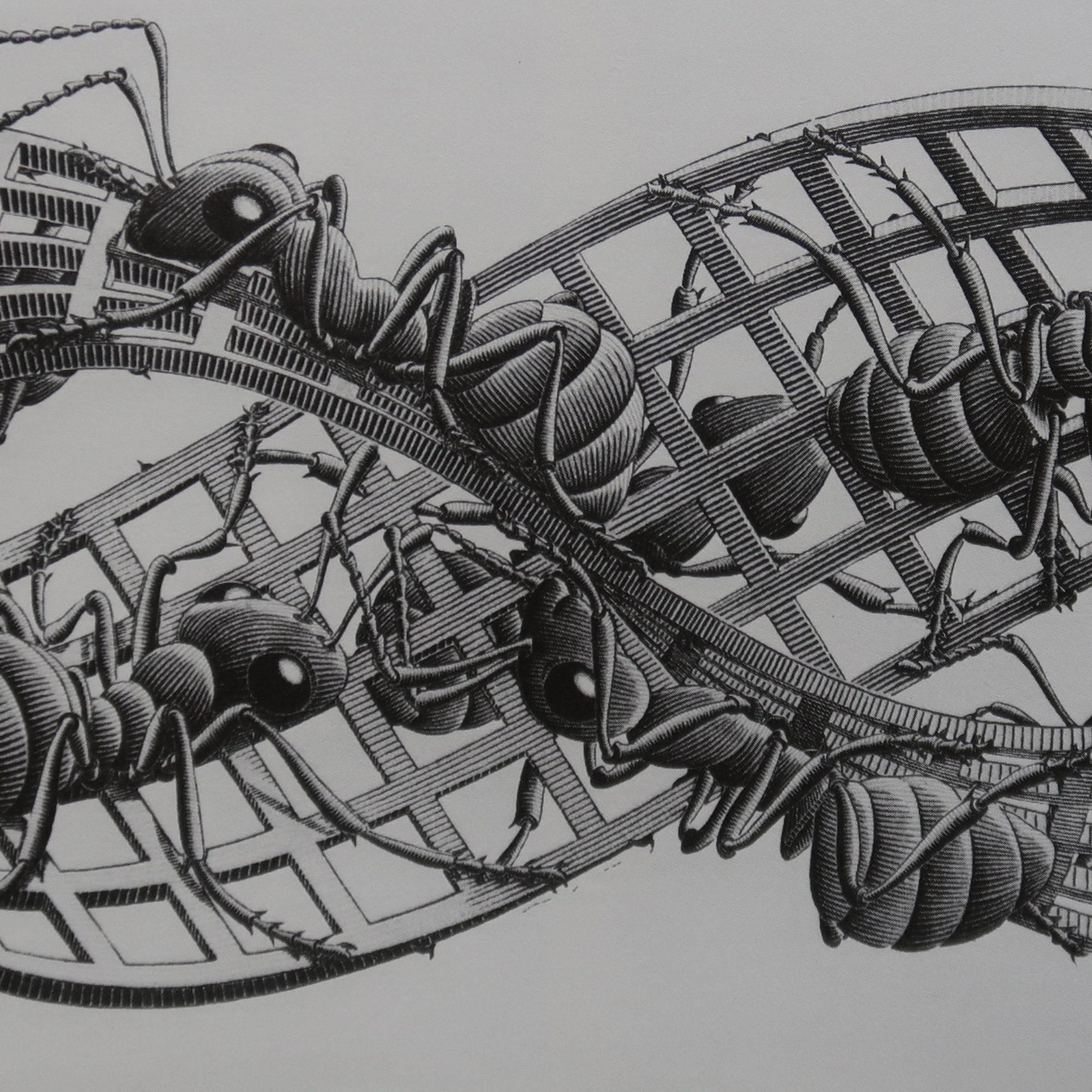 MC Escher Vintage Print 1971 | "moebius Strip Ll" (1963) | Home Decor ...