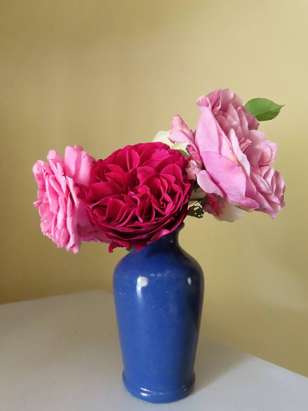 Antique 1920s Large/14.5cm 'ronuk Furniture Cream' - Etsy UK