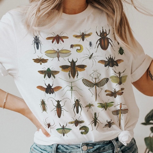 Entomology Spider Insect T-shirt Halloween Cottagecore Tee - Etsy