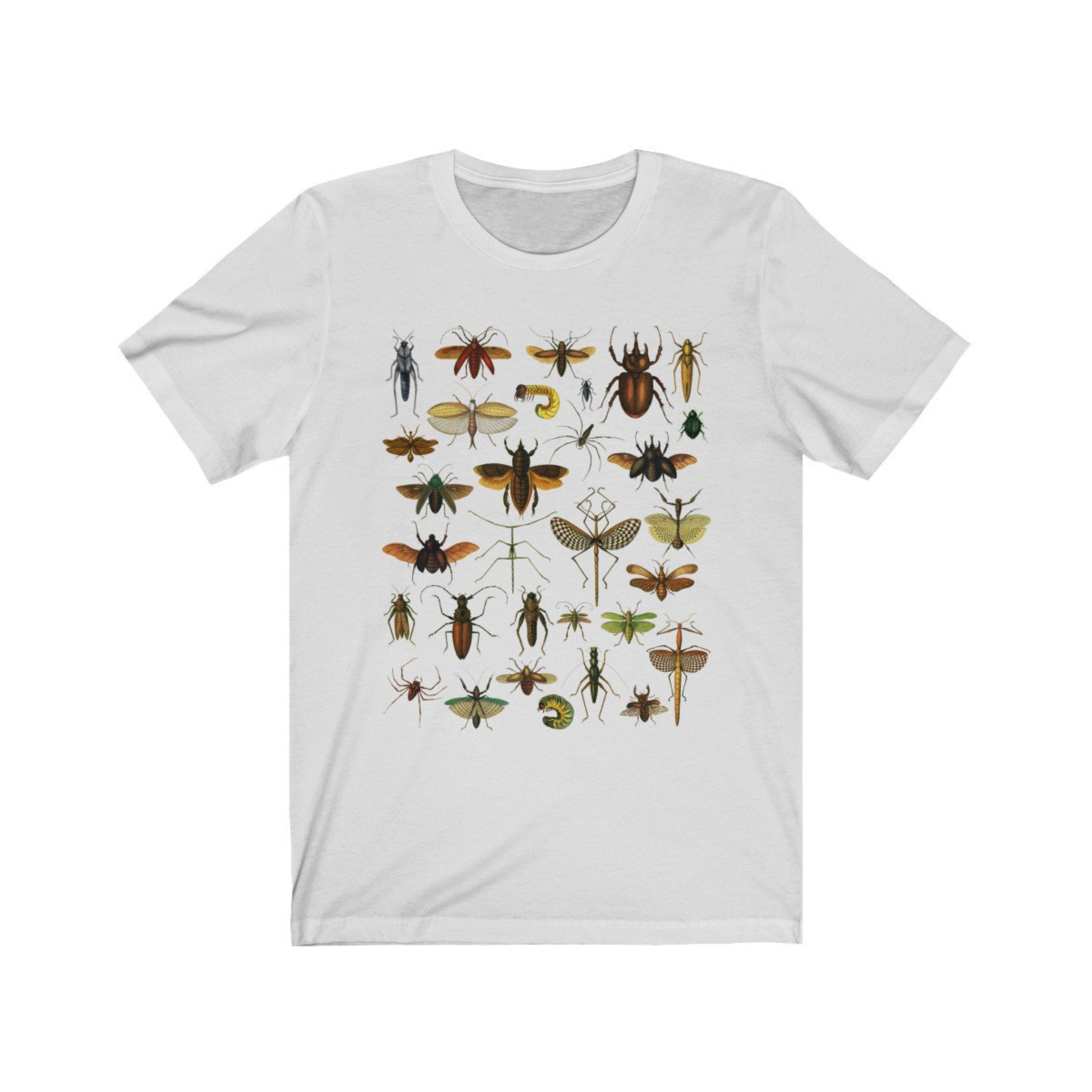 Vintage Insect Oversized Tshirt, Goblincore Bug Shirt, Entomology Tee ...