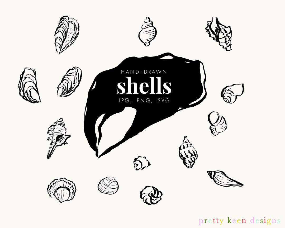 Brush Pen Shells in PNG, SVG, and JPG Formats | Hand-drawn Seashell Illustrations in Black and ...