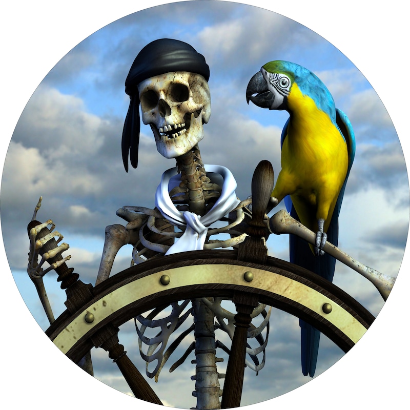 Pirate Skeleton - Etsy