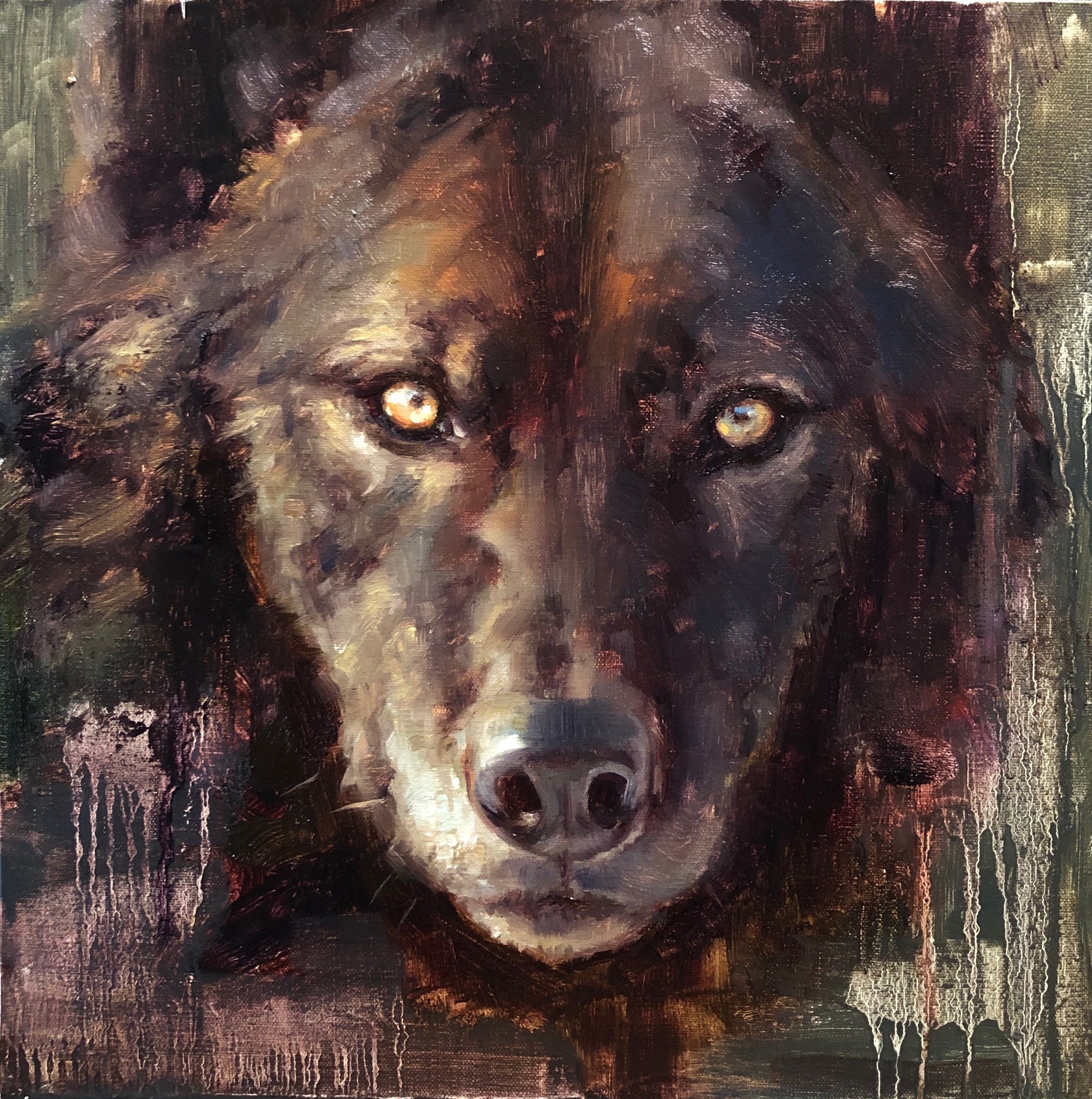 Black Wolf Close-up Portrait - Etsy