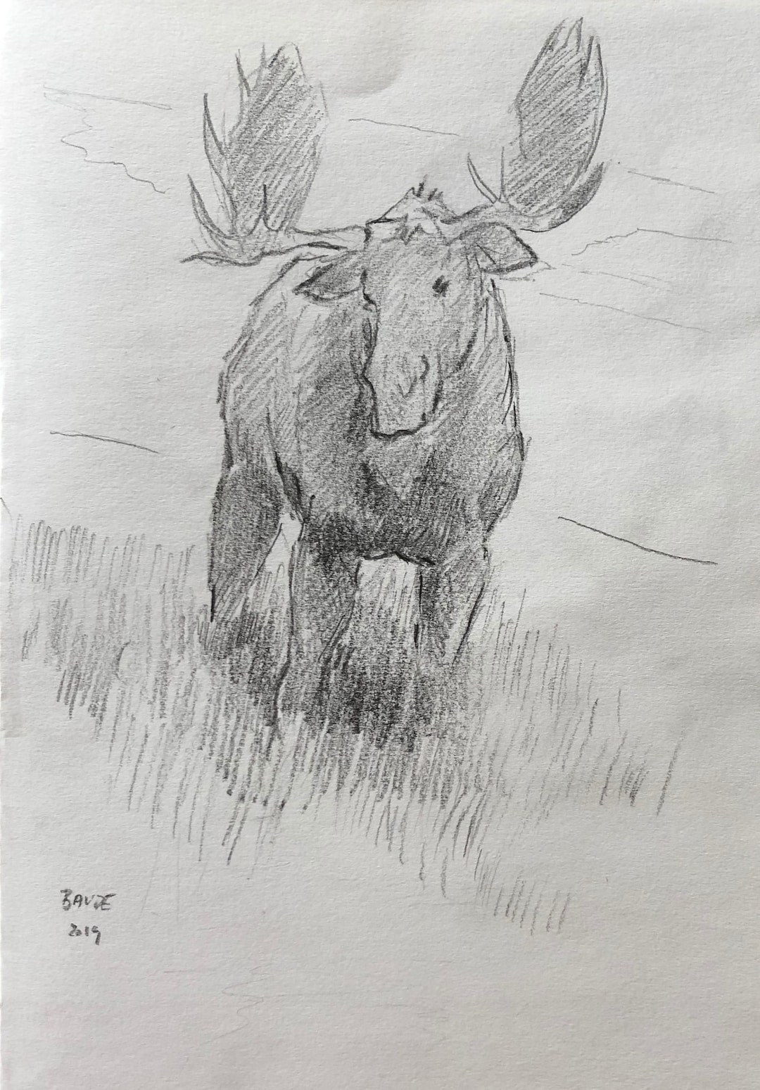 Original Moose Pencil Sketch - 6.5x10 - Etsy