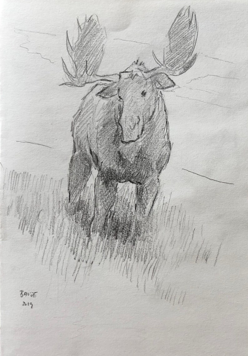 Original Moose Pencil Sketch - 6.5x10 - Etsy