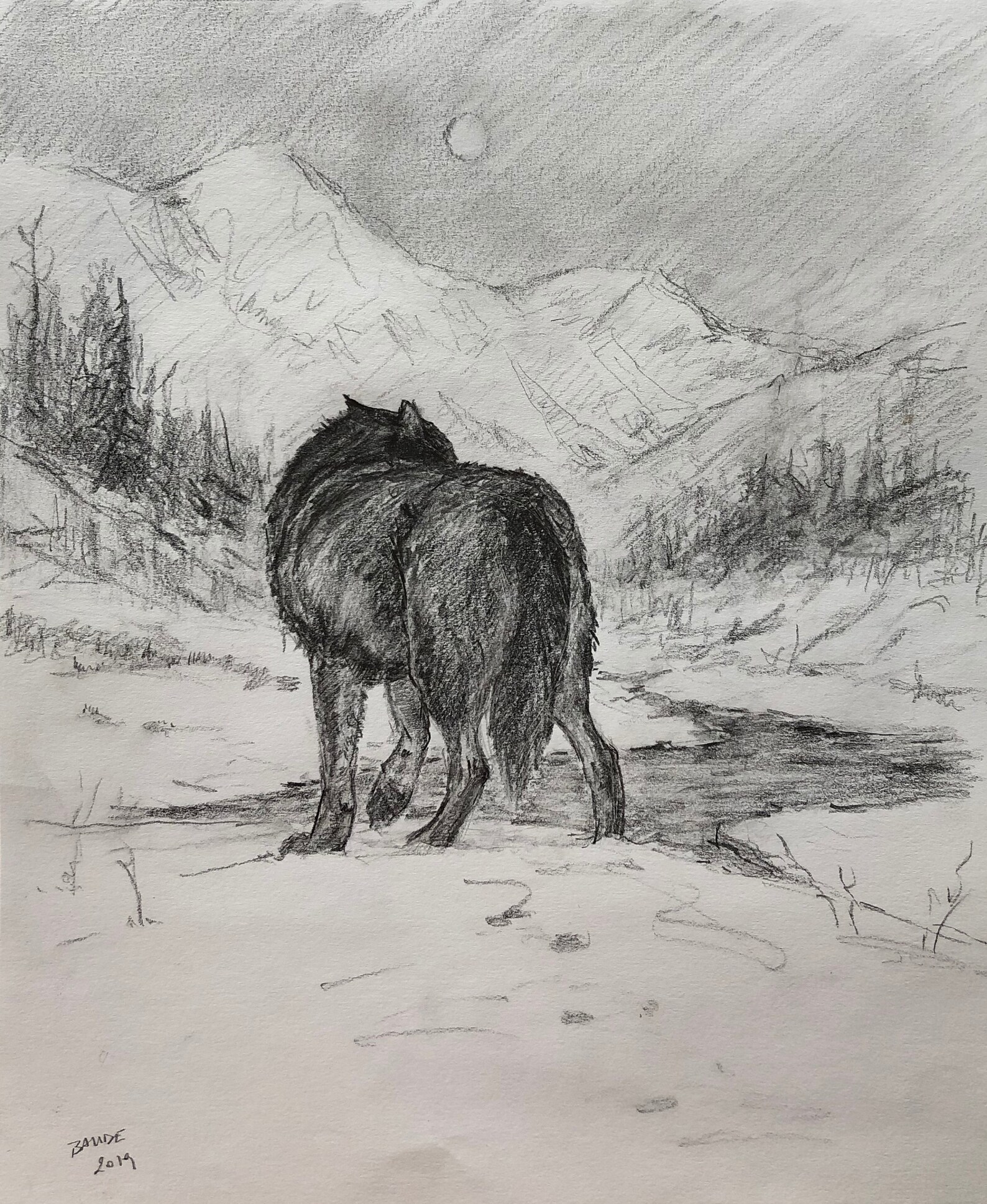 Original Drawing - Wolf in Wilderness - 9.5x11 - Etsy