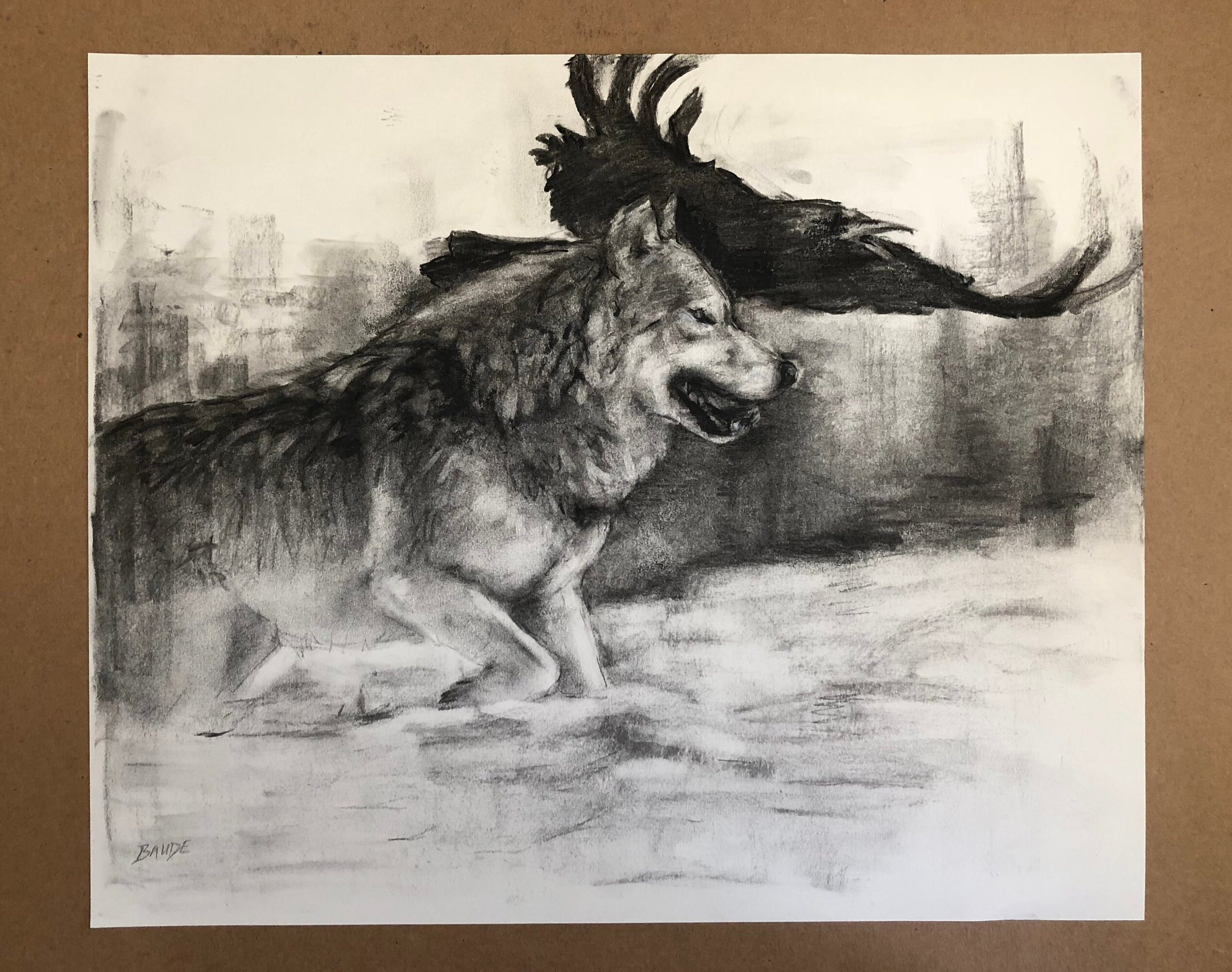 Charcoal Drawings Of Wolves