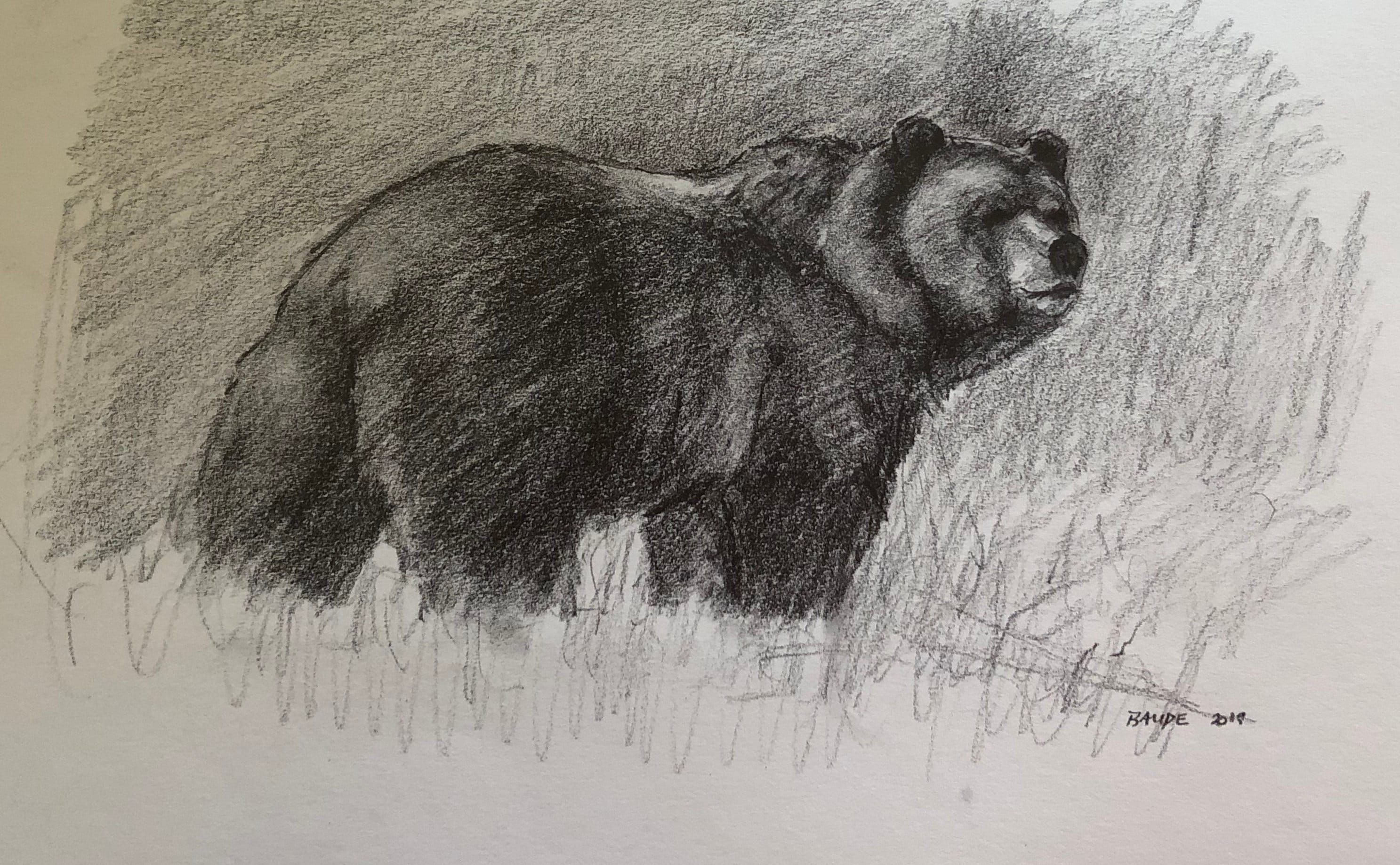 Original Bear in Meadow Pencil Drawing - 6x10 - Etsy