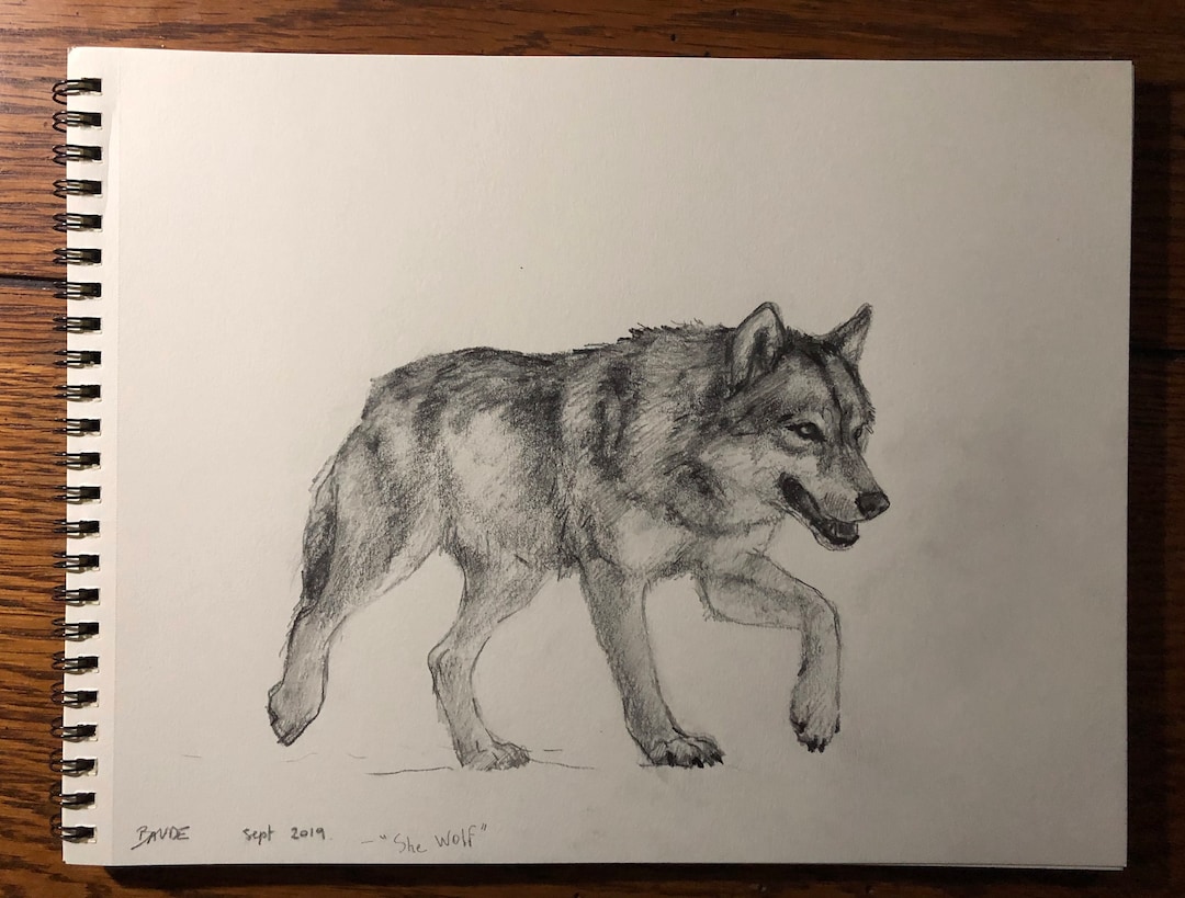 Original Pencil Drawing - "she Wolf" - 8x10 - Etsy