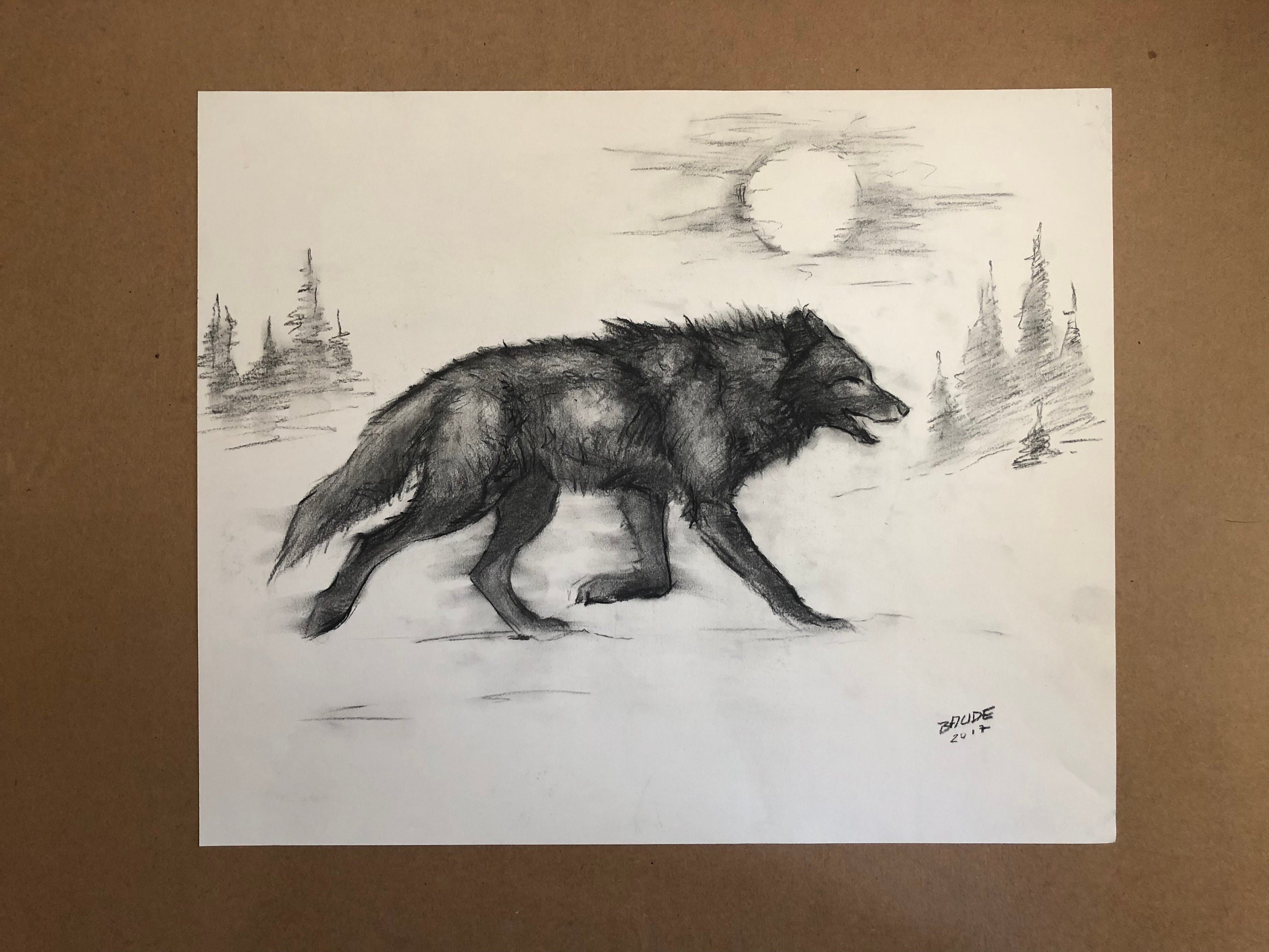 Black Wolf Pencil Drawing