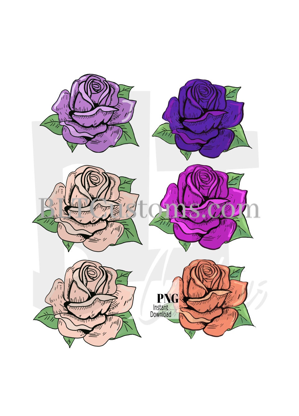 Large Rose Bundle, 14 Designs, Retro Art, Clip Art, Hand Drawn Flower ...