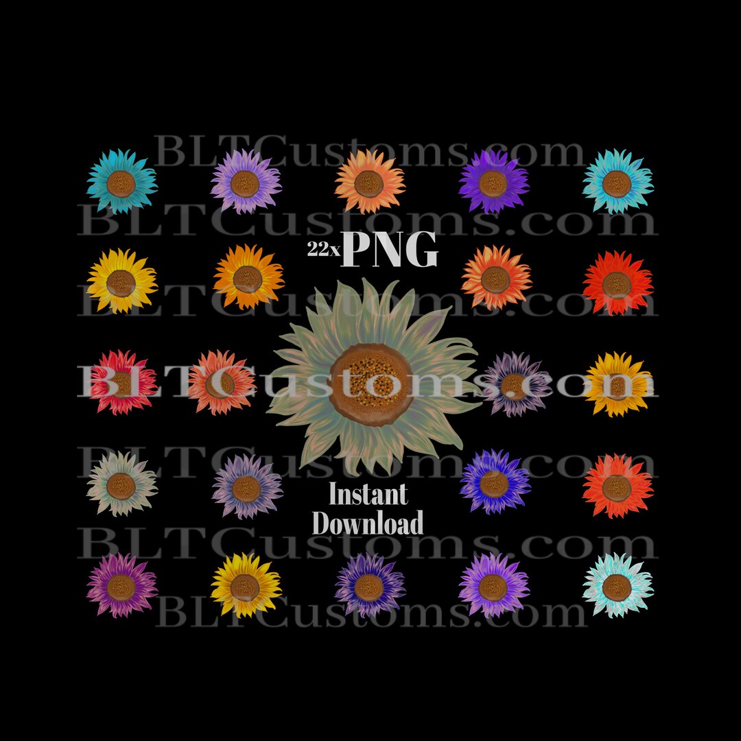 Colorful Sunflower Bundle Clip Art Digital Download - Etsy