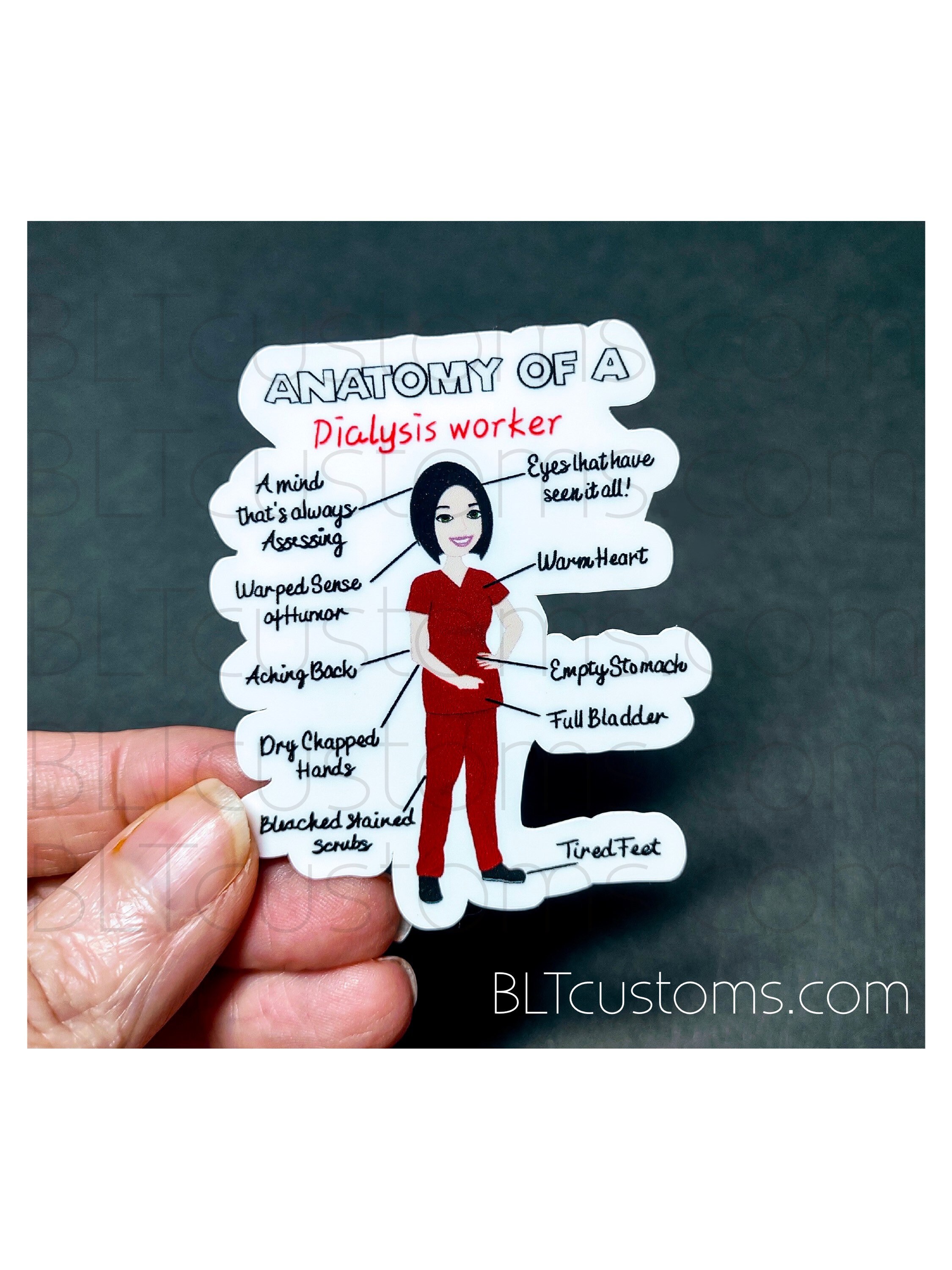 Anatomy of a Dialysis Worker, Dialysis Nurse, Nurse Sticker, Decal ...