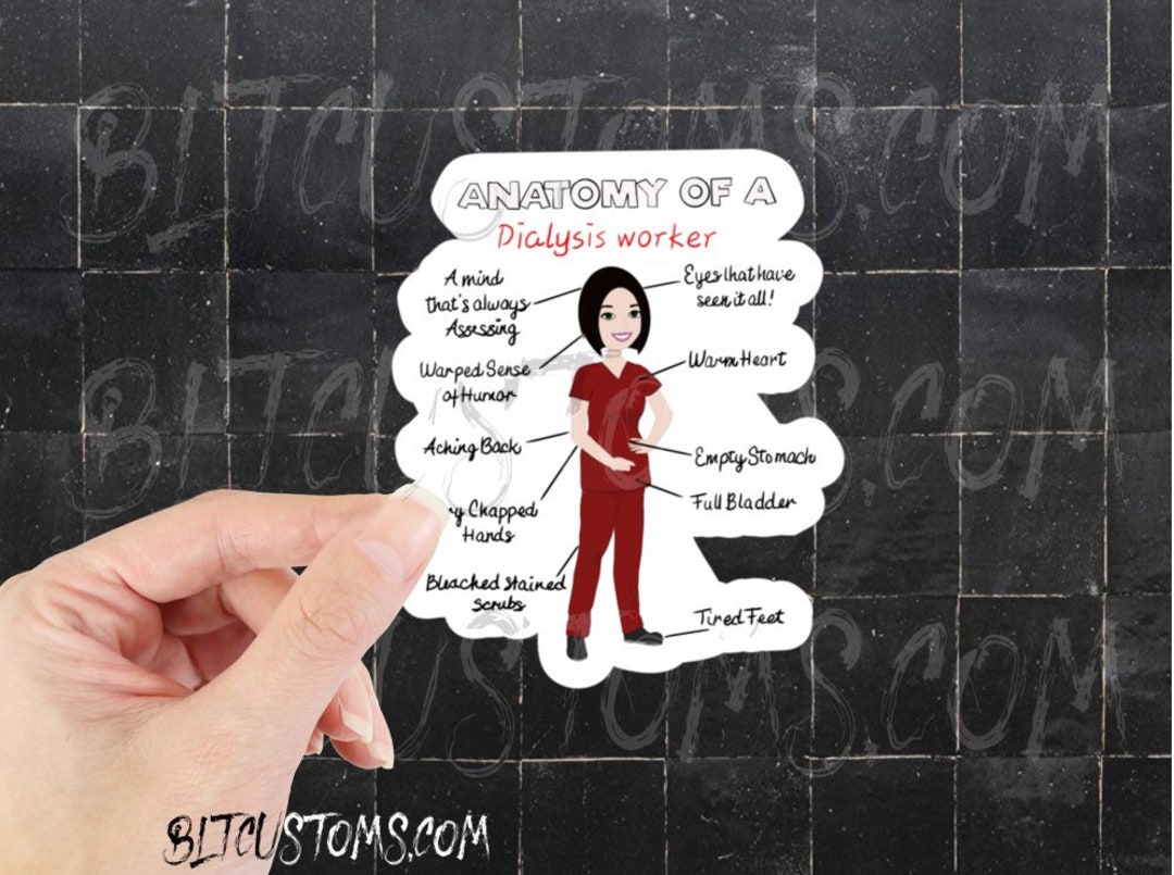 Anatomy of a Dialysis Worker, Dialysis Nurse, Nurse Sticker, Decal ...