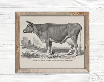 Farmhouse Vintage Cow Prints Set of 4 Vintage Dairy Cow Art Decor Farm Digital Printable Art - Etsy