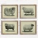 Farmhouse Vintage Cow Prints Set of 4 Vintage Dairy Cow - Etsy
