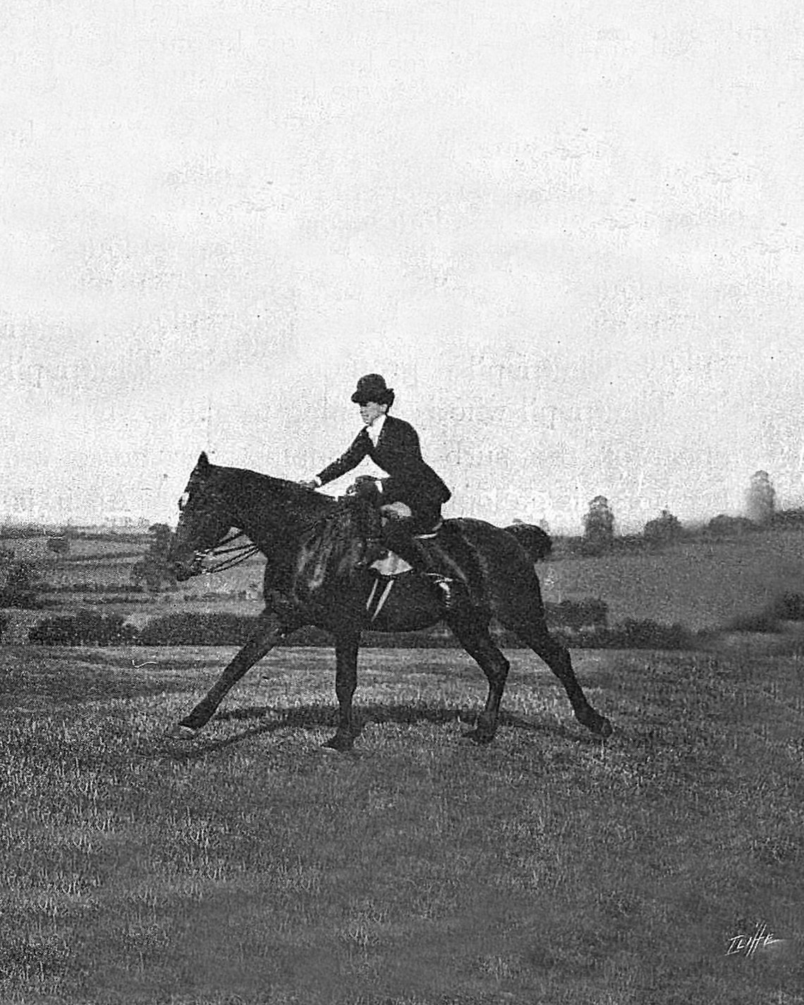 Vintage Photographs Ladies Side Saddle Vintage Equestrian - Etsy