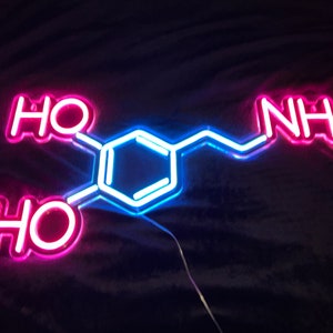Dopamine Neon Sign Home Decor Neon Sign Get High Custom Neon Sign - Etsy