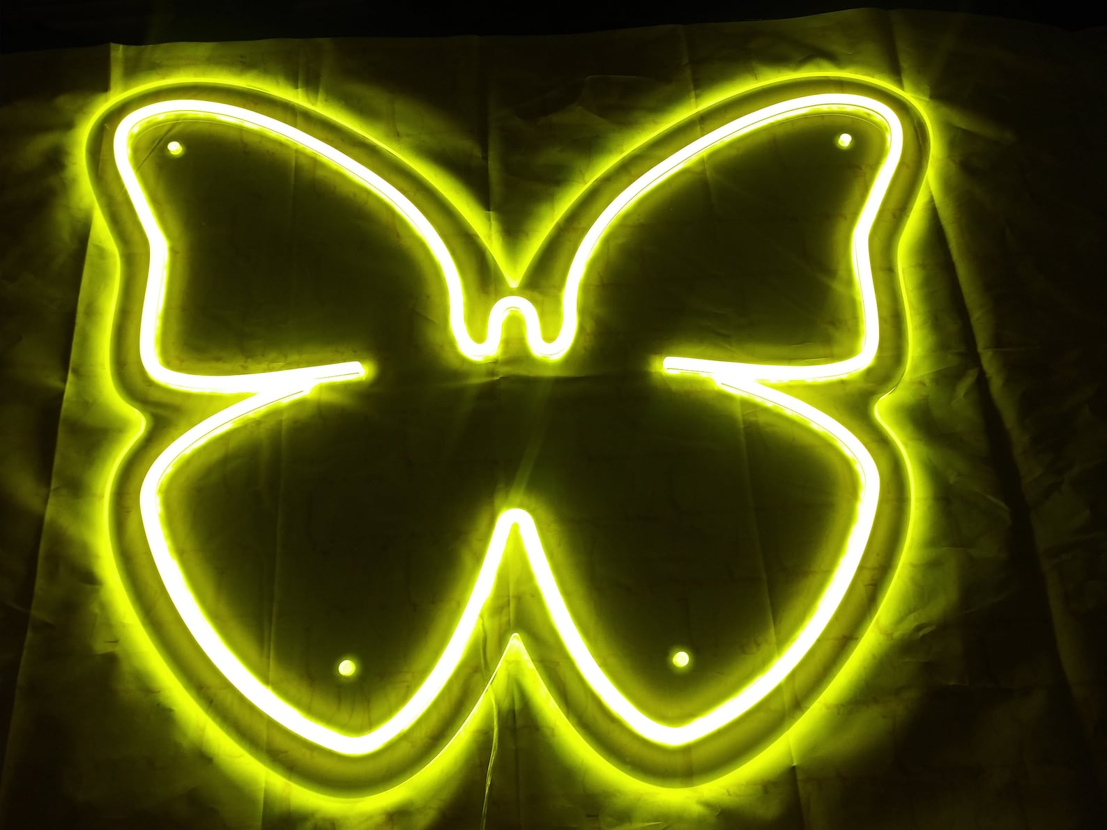 Neon Sign - Butterfly Neon Light - Perfect Neon Sign Wall Decor for ...