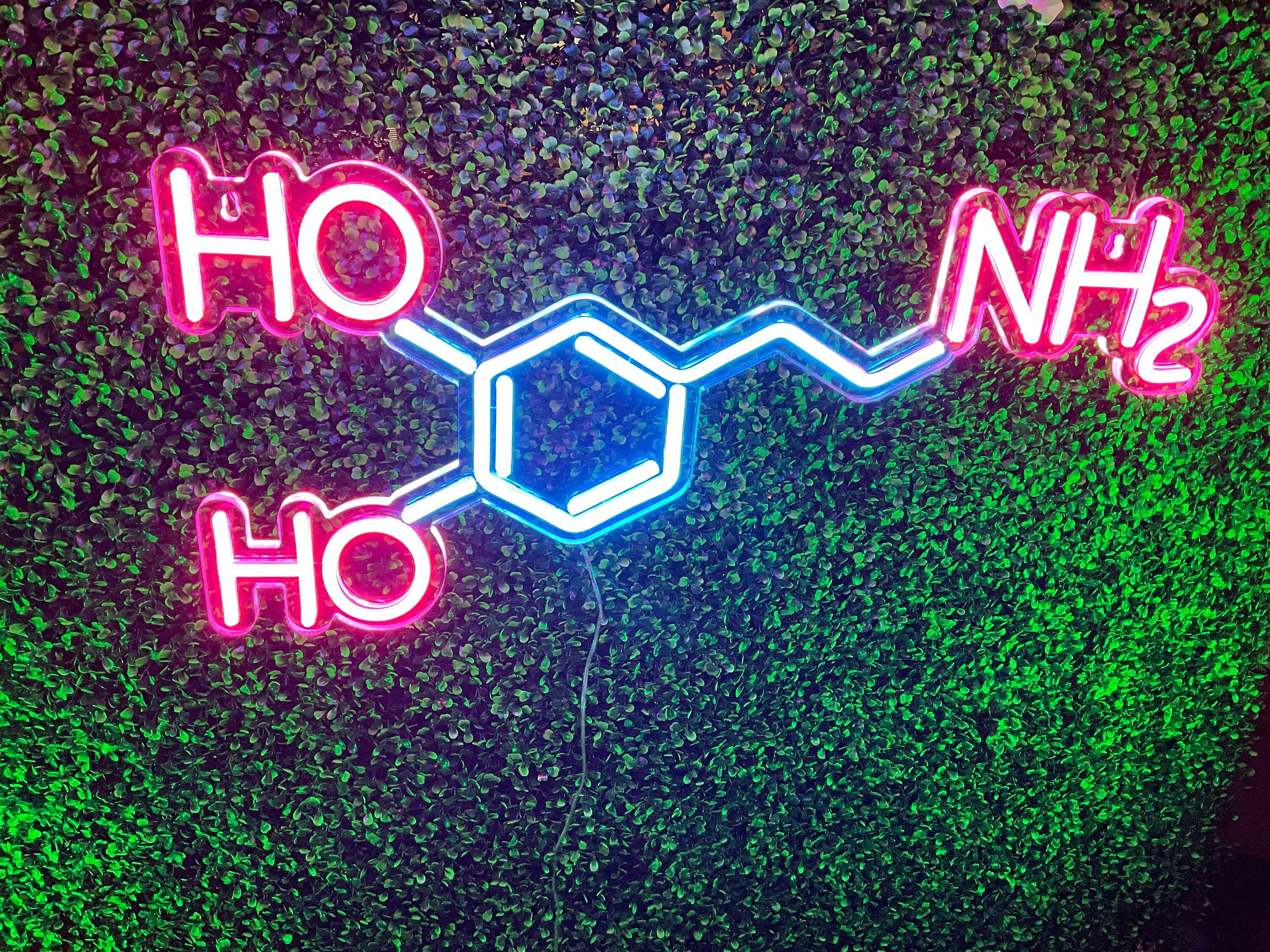 Dopamine Molecule LED Neon Sign – Handmade Home Decor - Etsy