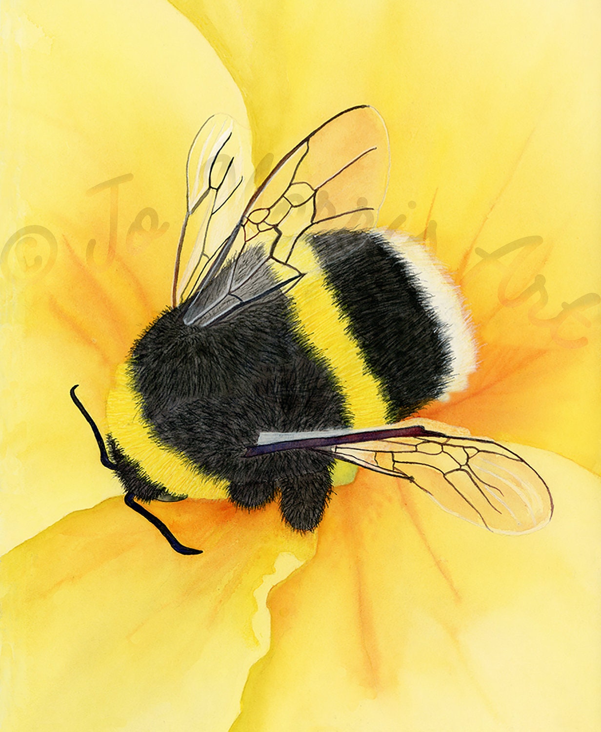 Yellow Bumble Bee Watercolour Art Print, Botanical Bee Download File ...