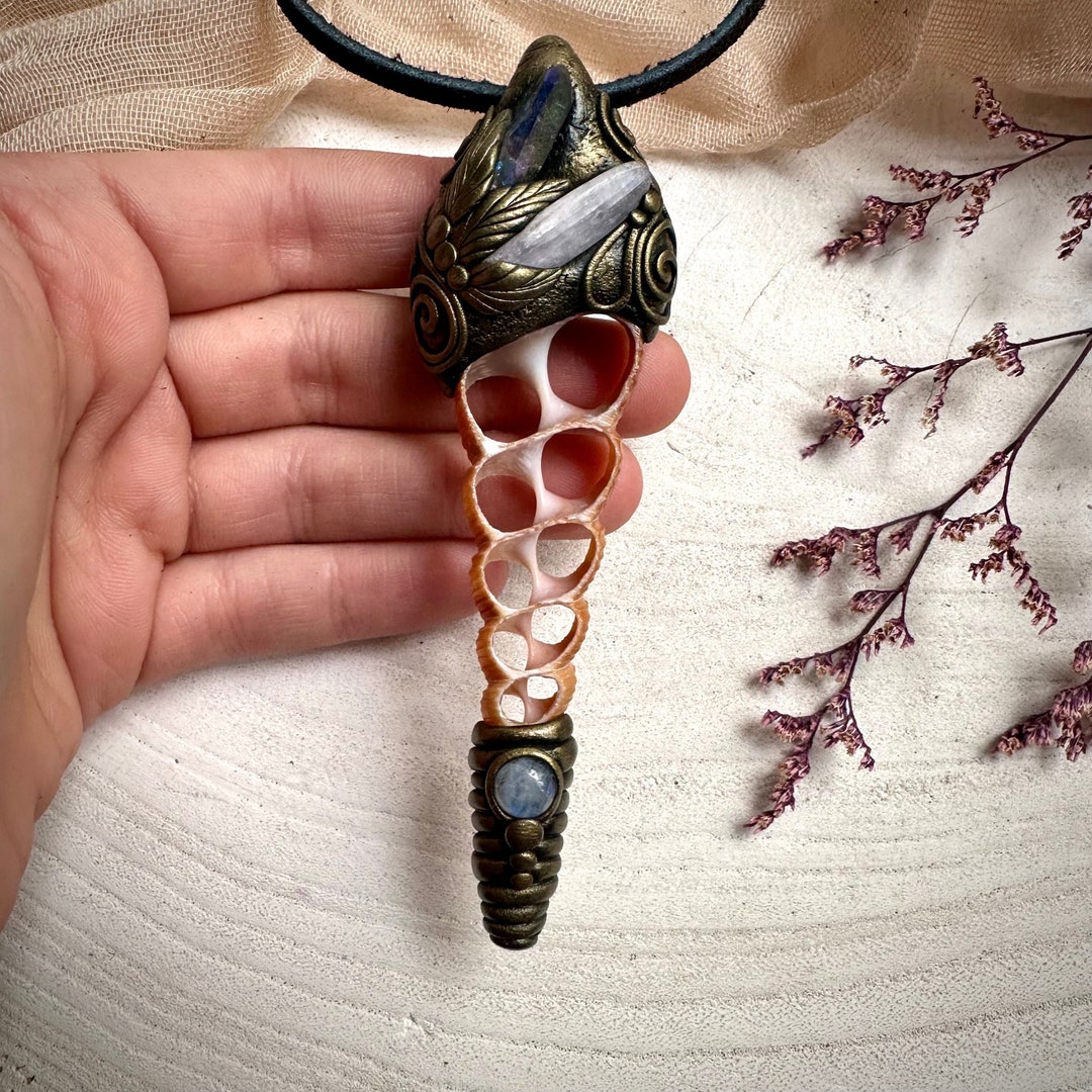 Terebra Turritella Shell Slice Kunzite Angel Aura Quartz and Moonstone ...