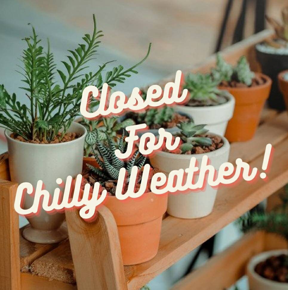 Closed for Chilly Weather! - Etsy