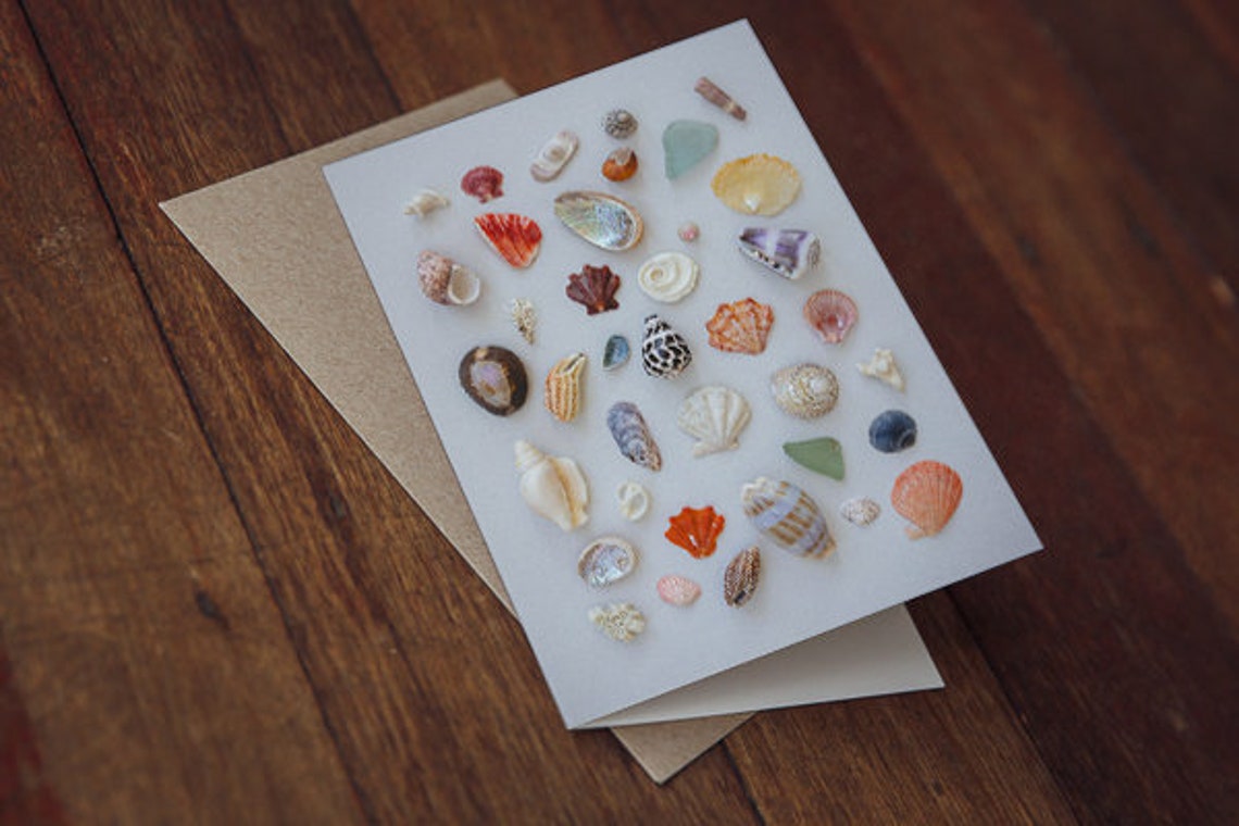 She Collects Sea Shells A Shell Greeting Card. Seashells - Etsy