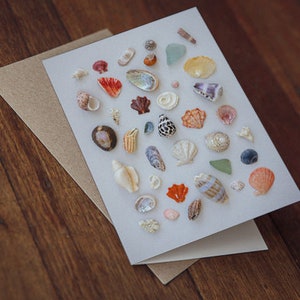 She Collects Sea Shells - A Shell Greeting Card. Seashells, Seashell ...