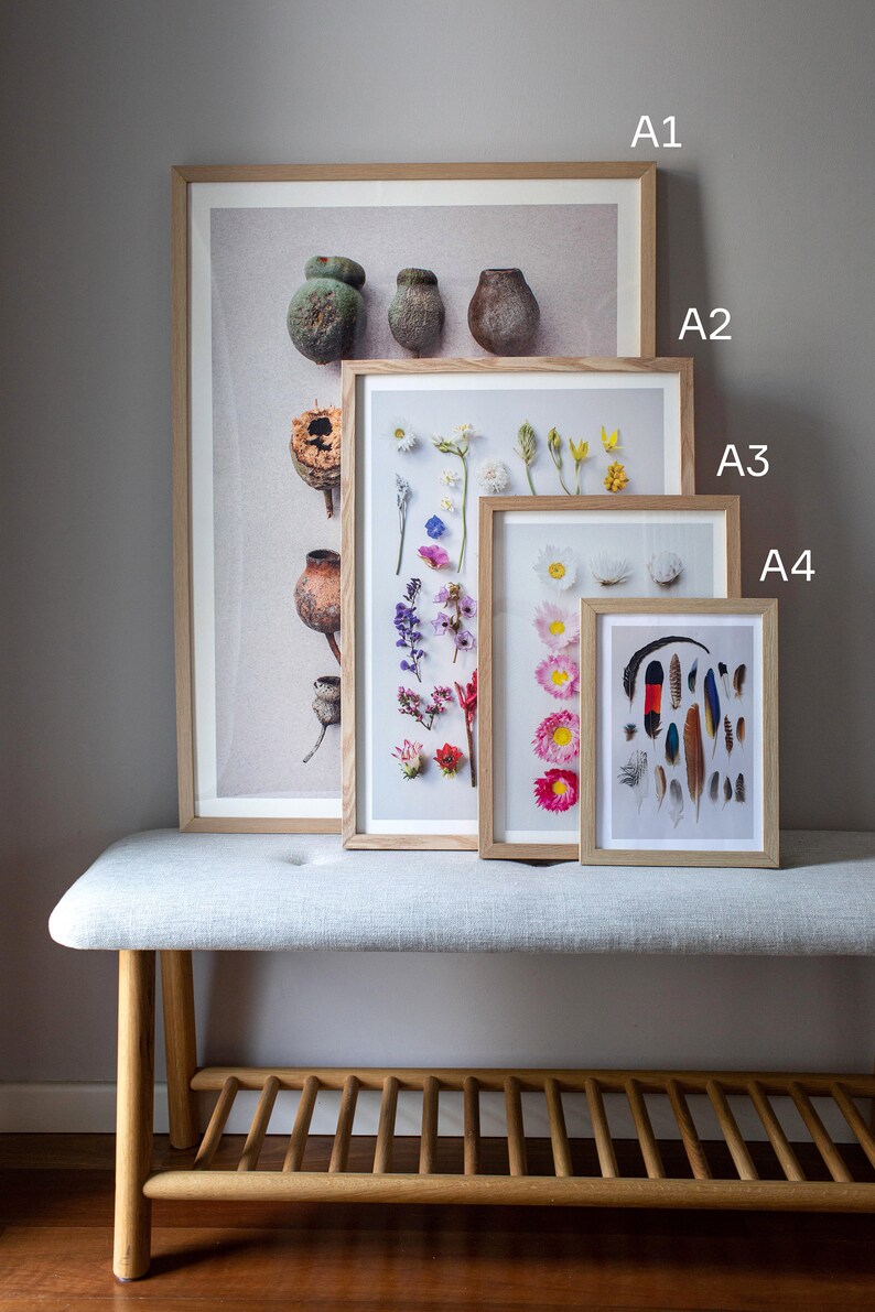 Stampa di bacche di Hakea: Ballsy Garden Flowers Art (A4, A3, A2 ...