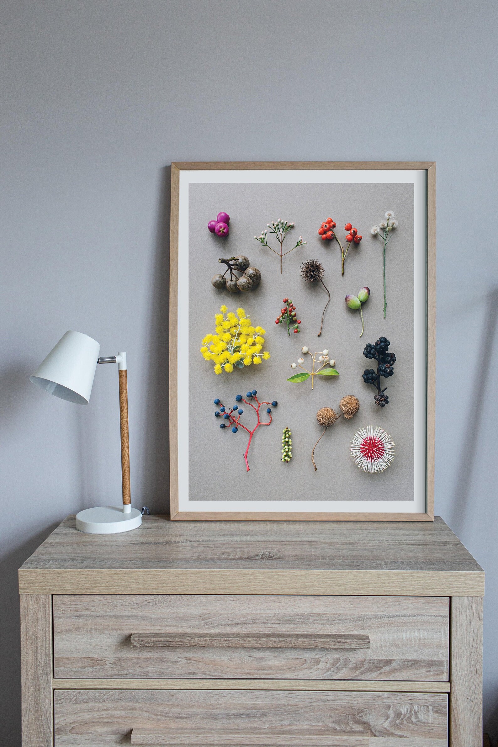 Stampa di bacche di Hakea: Ballsy Garden Flowers Art (A4, A3, A2 ...