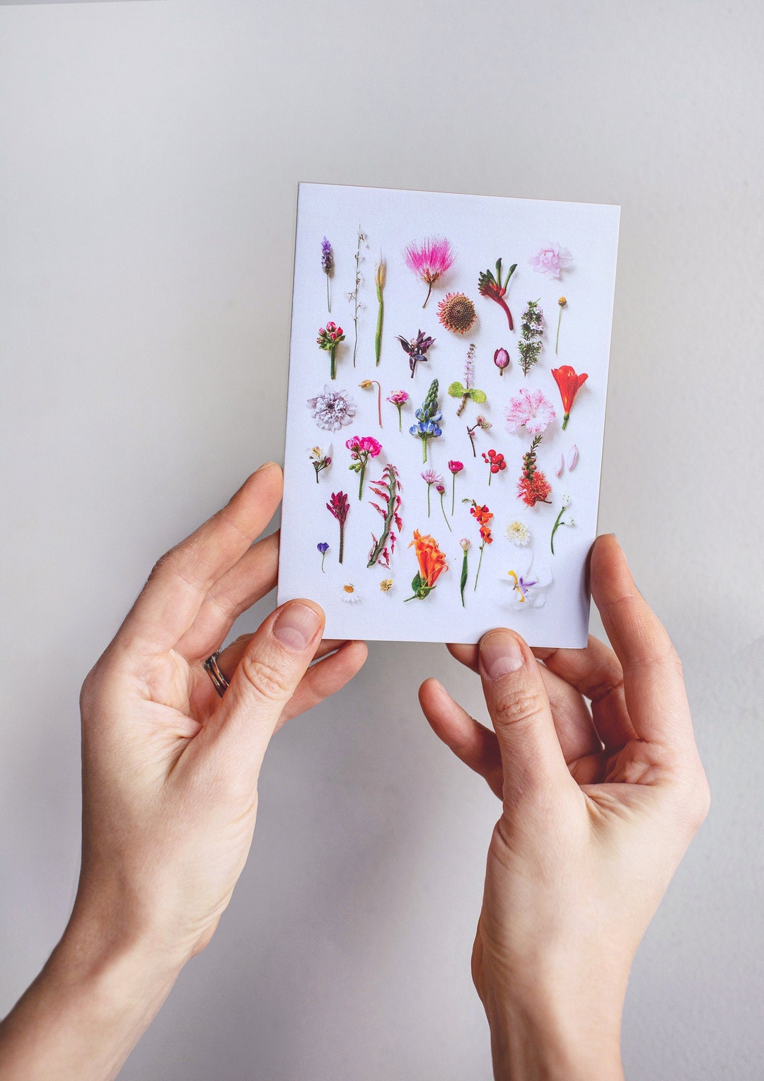 Garden Foraging Greeting Card — A Collection of Western Australian ...
