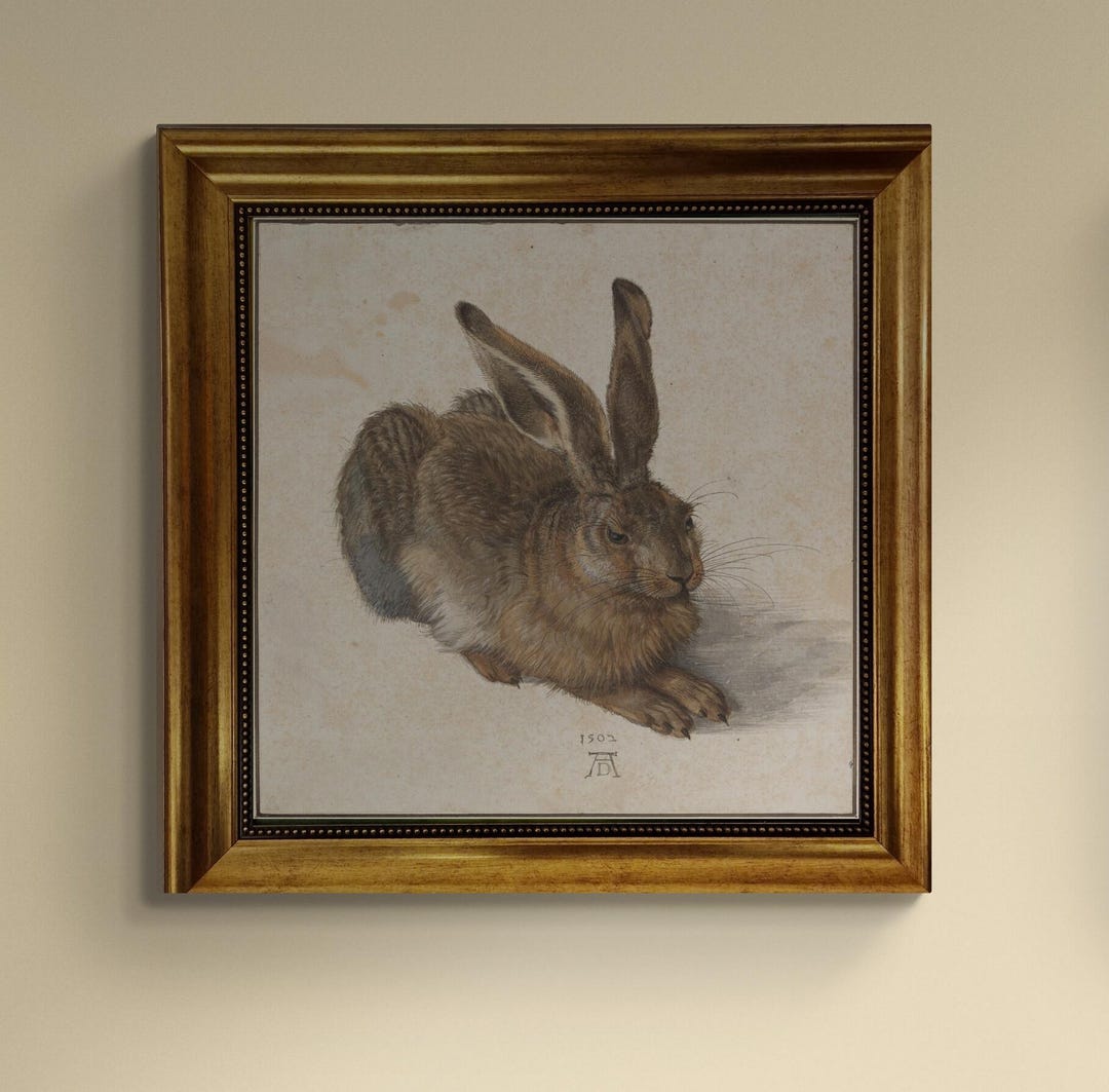 Young Hare by Albrecht Dürer, Gliclée Canvas Hand Finished Premium ...