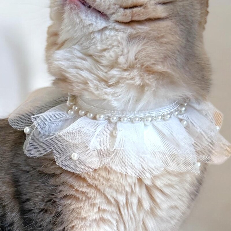 Lace Cat Collar - Etsy